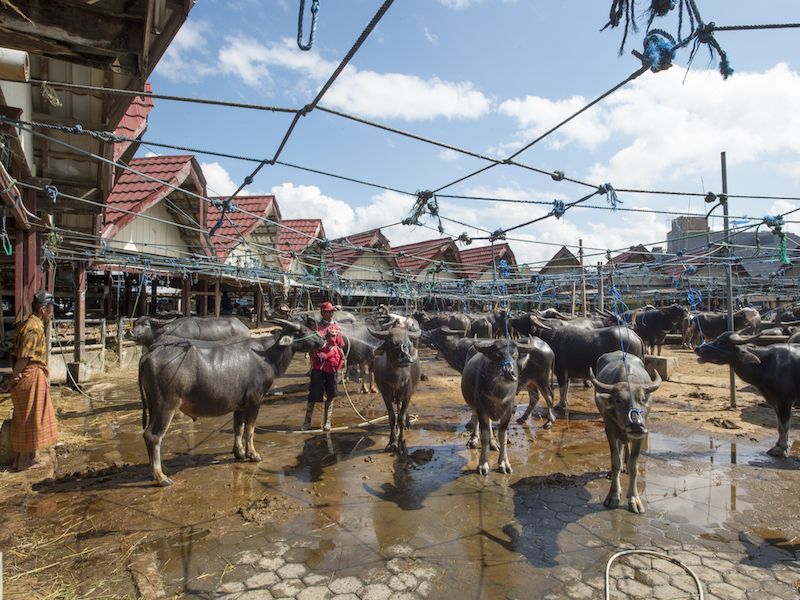 Lugar de Interés: Rantepao (Sulawesi) | Indonesia en tus Manos